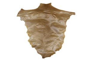 Goat Rawhide - Buy Online - Montana Leather Company