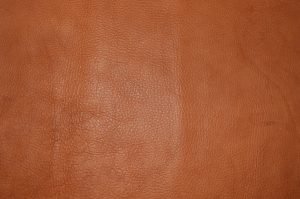 Bison & Buffalo Leather | Hides & Sides