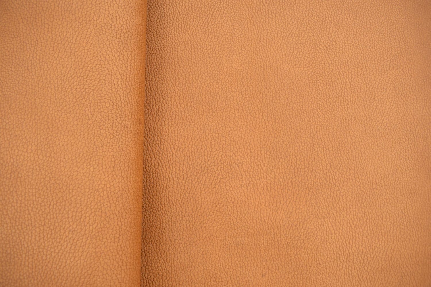 Tan Leather Texture