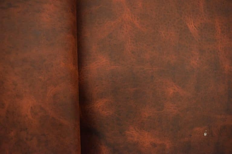 Bison & Buffalo Leather | Hides & Sides