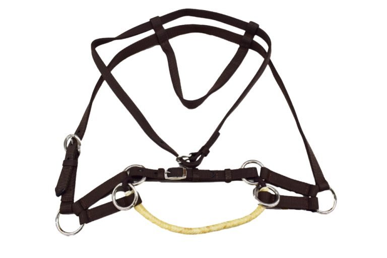 Shop Nylon Side Pull with Braided Rawhide Noseband Online