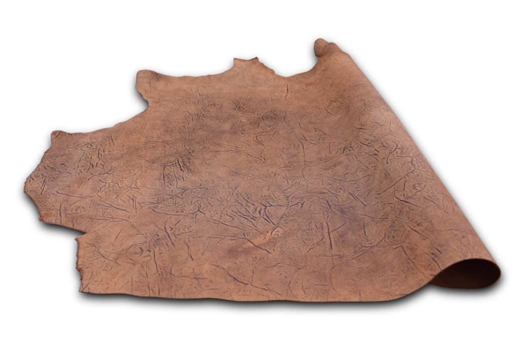 Bison & Buffalo Leather | Hides & Sides