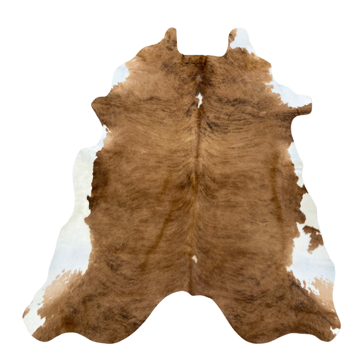 Hair on Cow - 31 | Montana Leather Company