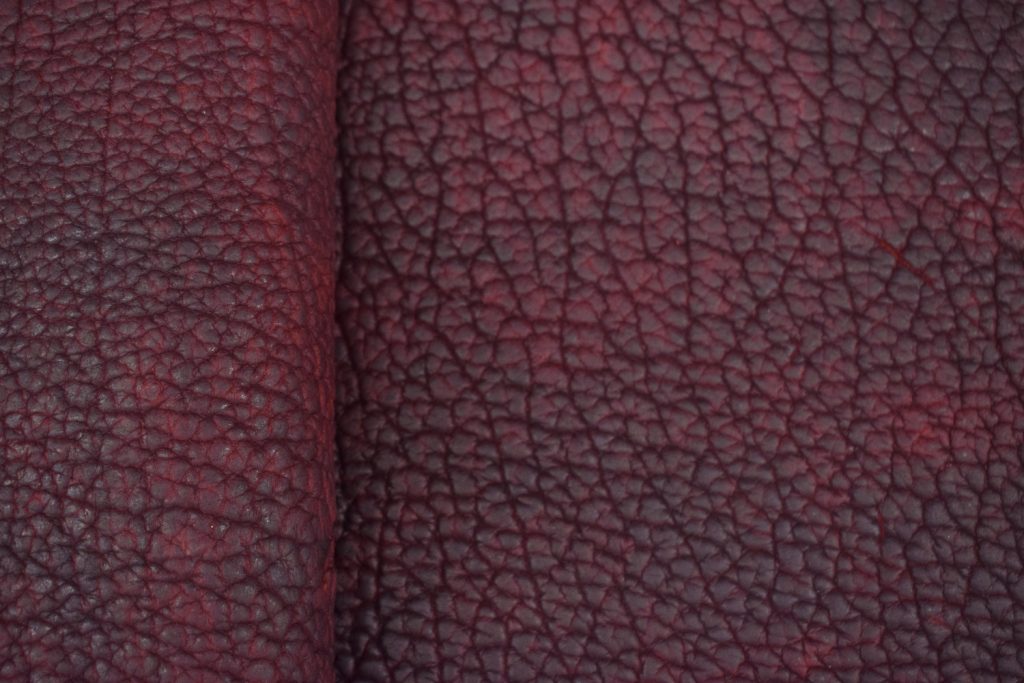 Bison & Buffalo Leather | Hides & Sides