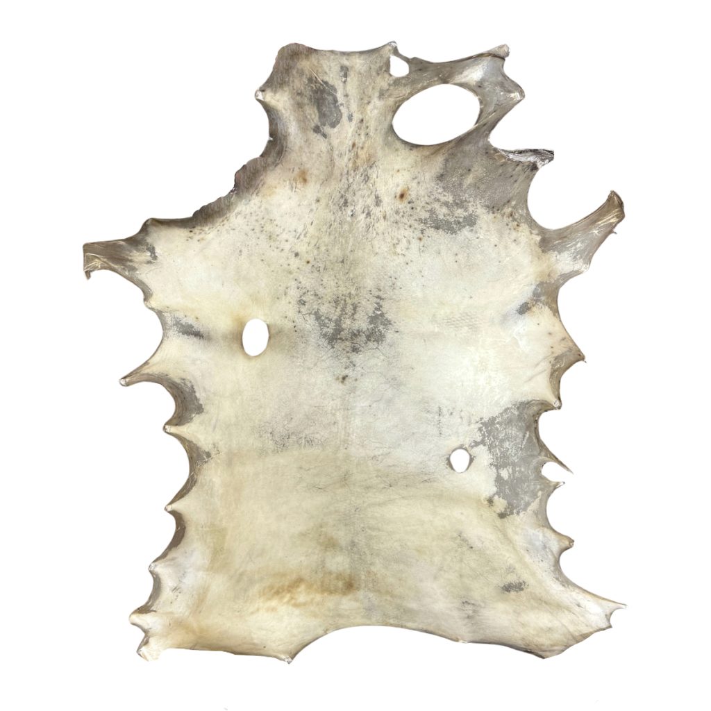 Deer Rawhide - Buy Online - Montana Leather Company