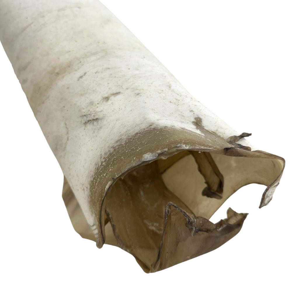 Shop Rawhide Leather | Raw Leather Hides