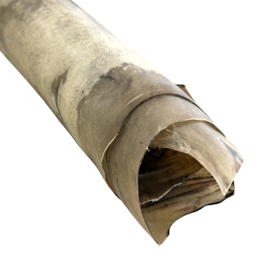 Shop Rawhide Leather | Raw Leather Hides